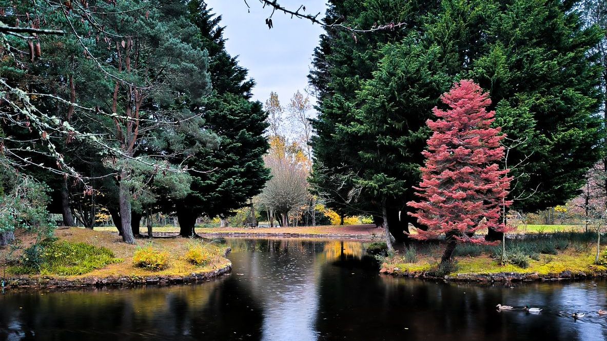 Inverness Botanic Gardens - Scotland Tourist Information
